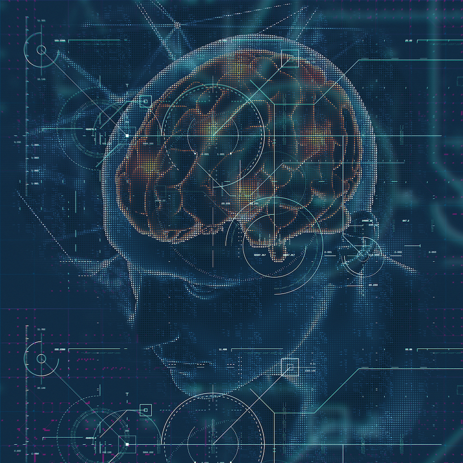 About Us - Brain::Science